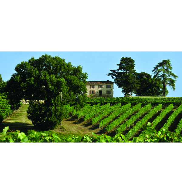 Domaine Guillaman - Côtes de Gascogne, Sud-Ouest - 2020 - Caves & Domaines